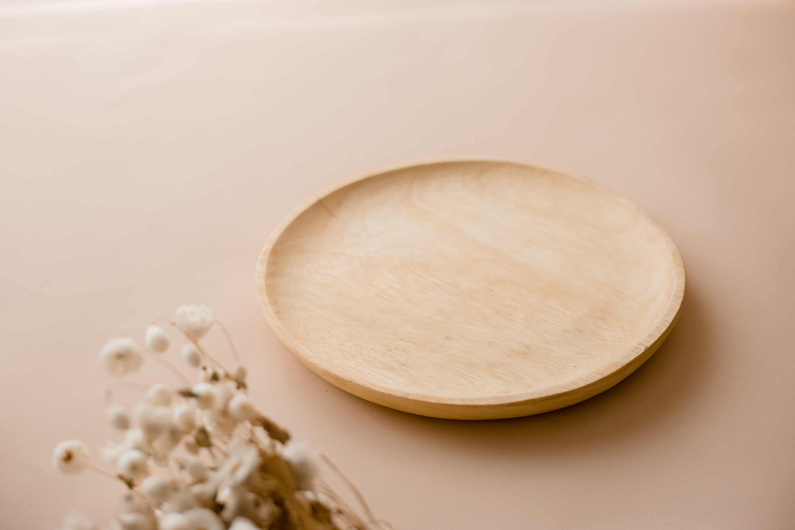 10 Inch Plate set of 2 - QFurniture